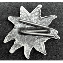 Edelweiss of the SA or SS mountain troops (Bigger Version) - War Militaria